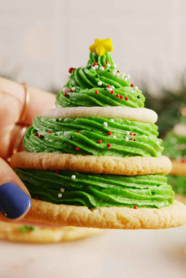80+ Easy Christmas Cookies - Best Recipes for Holiday Cookies—Delish.com